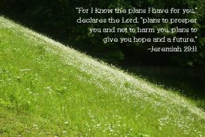 Jeremiah 29: A Message to Exiles – The Noontimes